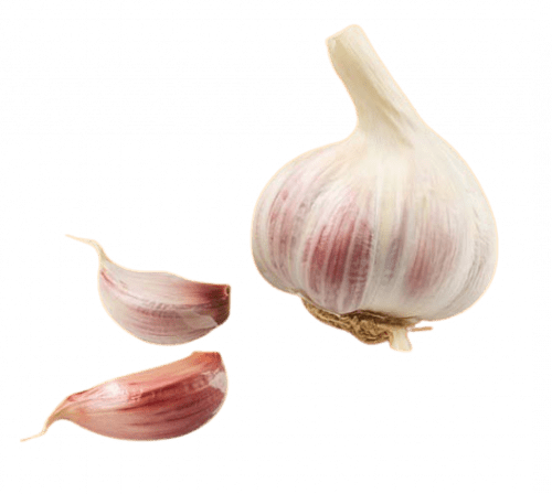 ¿Qué es un fuego labial? - Cicloferon